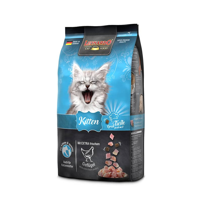 Leonardo Kitten – PETSHOP ZEUS